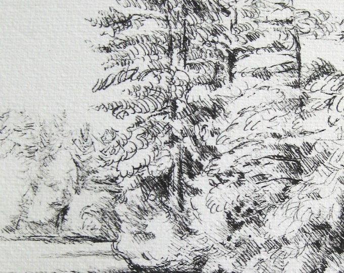 Pond Landscape - Original Ink Drawing - by Michelle Arnold Paine - Etsy