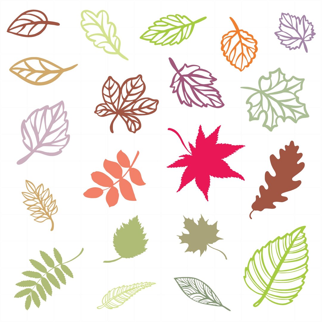 Leaf Svg Bundle, Fall Leaf Clipart, Leaf Vector, Branch Decal, Twig Cut ...