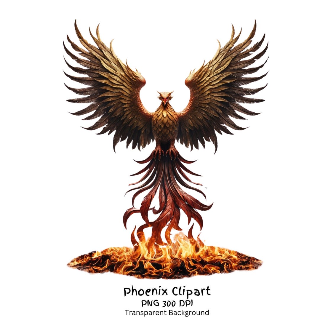 Phoenix Clipart, Georgeous Phoenix Png, Watercolor Phoenix Png, Phoenix ...