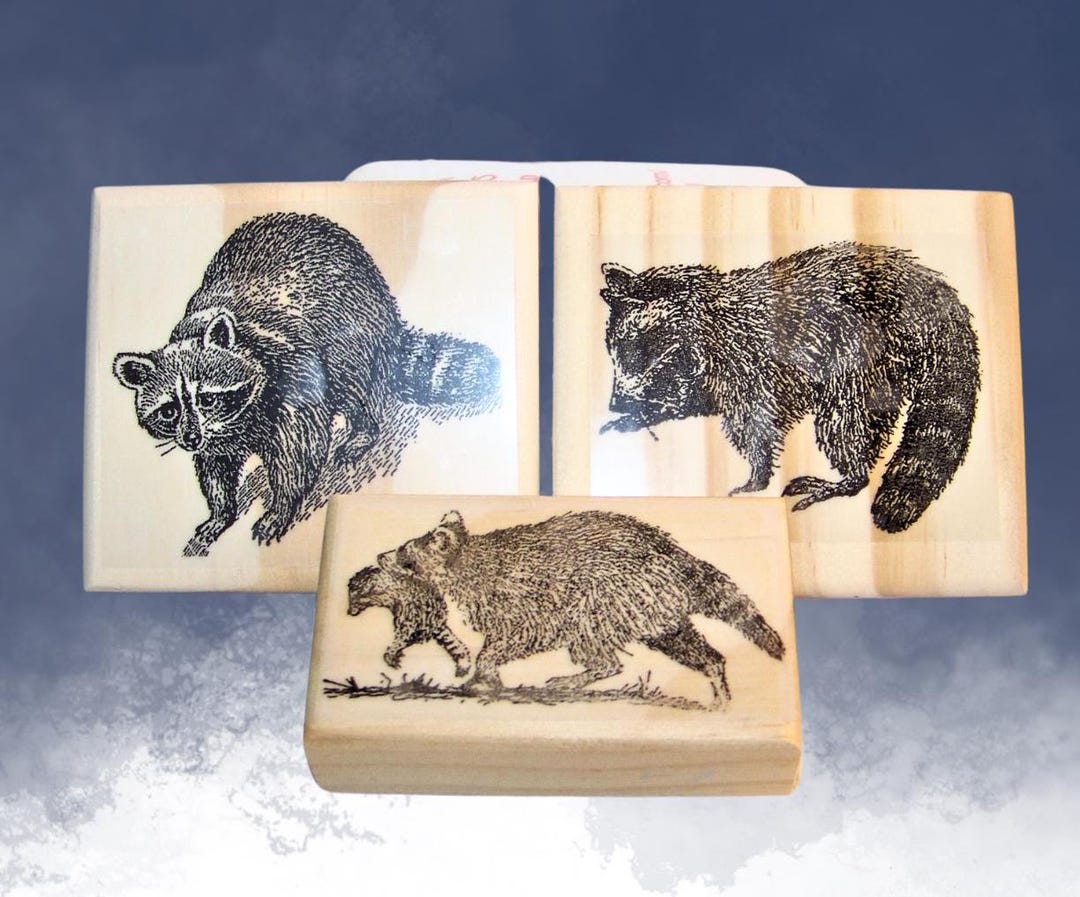 Raccoon Rubber Stamps 3 Raccoons New Mounted Rubber Stamps - Etsy