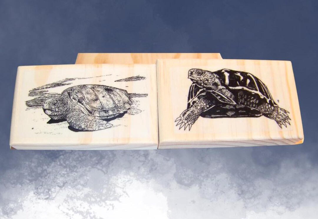 Turtle Rubber Stamp: Galapagos or Box Turtle - Deep Etched - Etsy