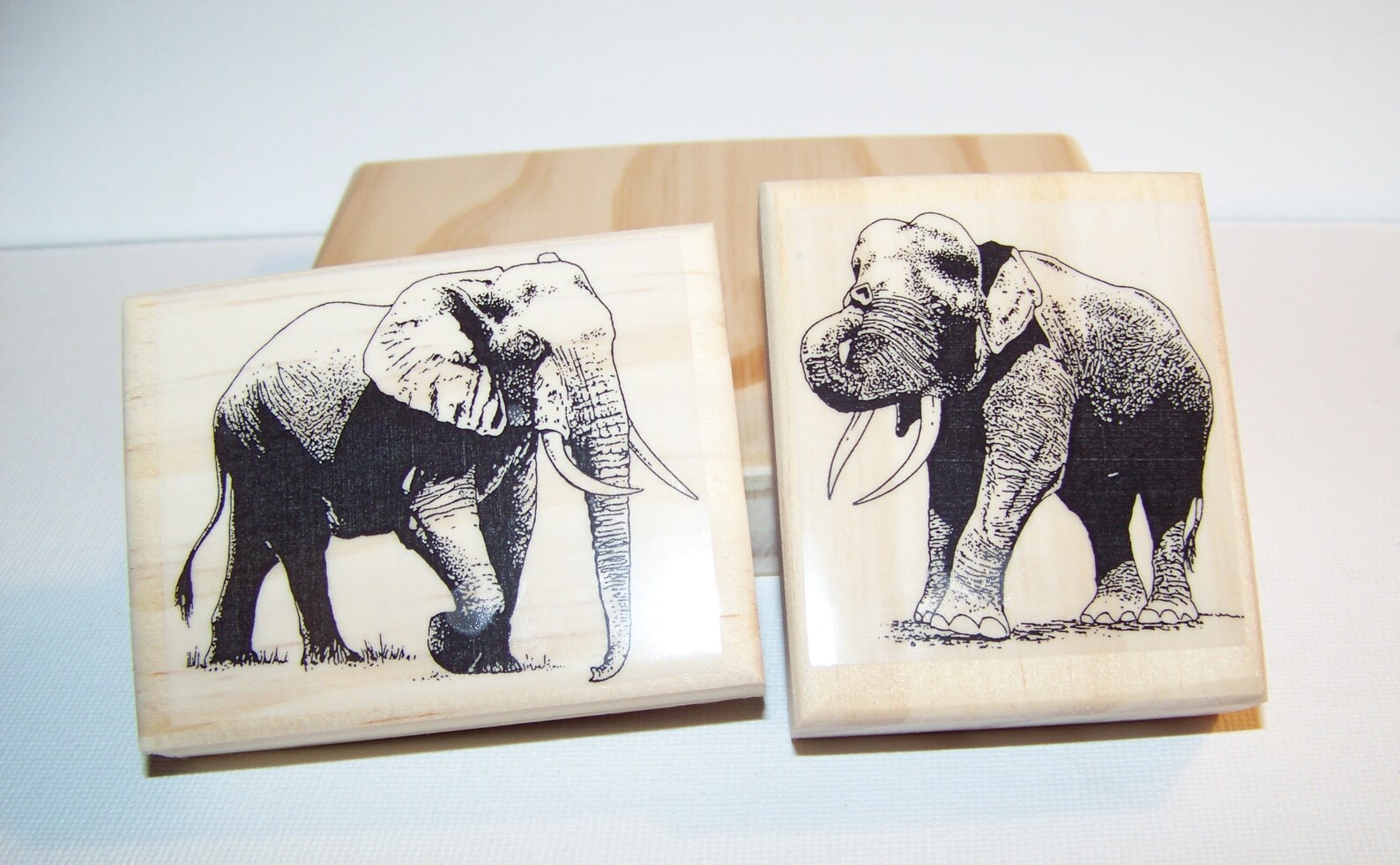 2 Elephants New Mounted Rubber Stamps Elephant - Etsy