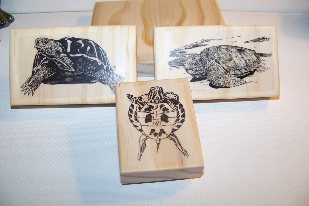 Turtle Rubber Stamps, Set of 3, Deep Etched & Mounted - Etsy