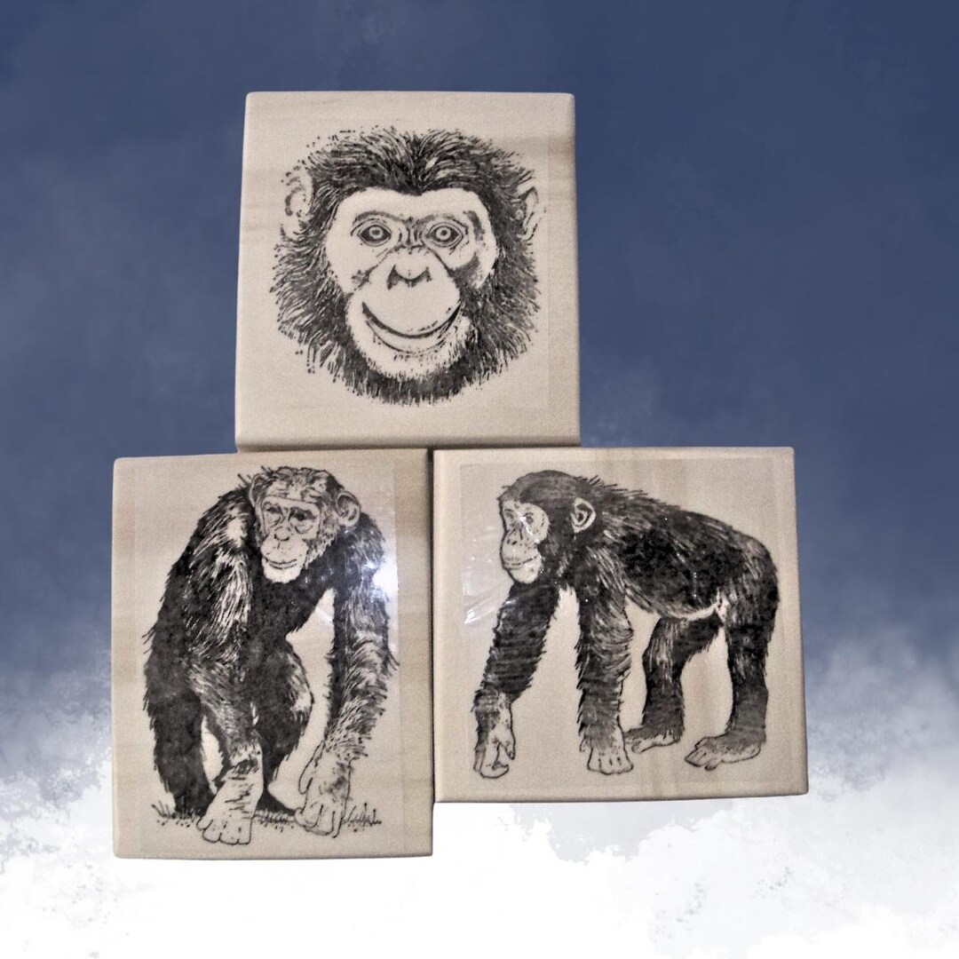 Monkey New Rubber Stamps 3 Monkeys Chimpanzee Rubber Stamp - Etsy