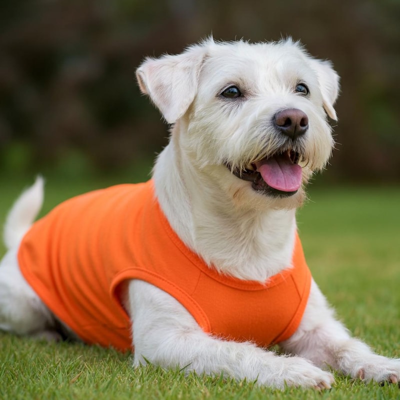 Dog Tank Top - Etsy