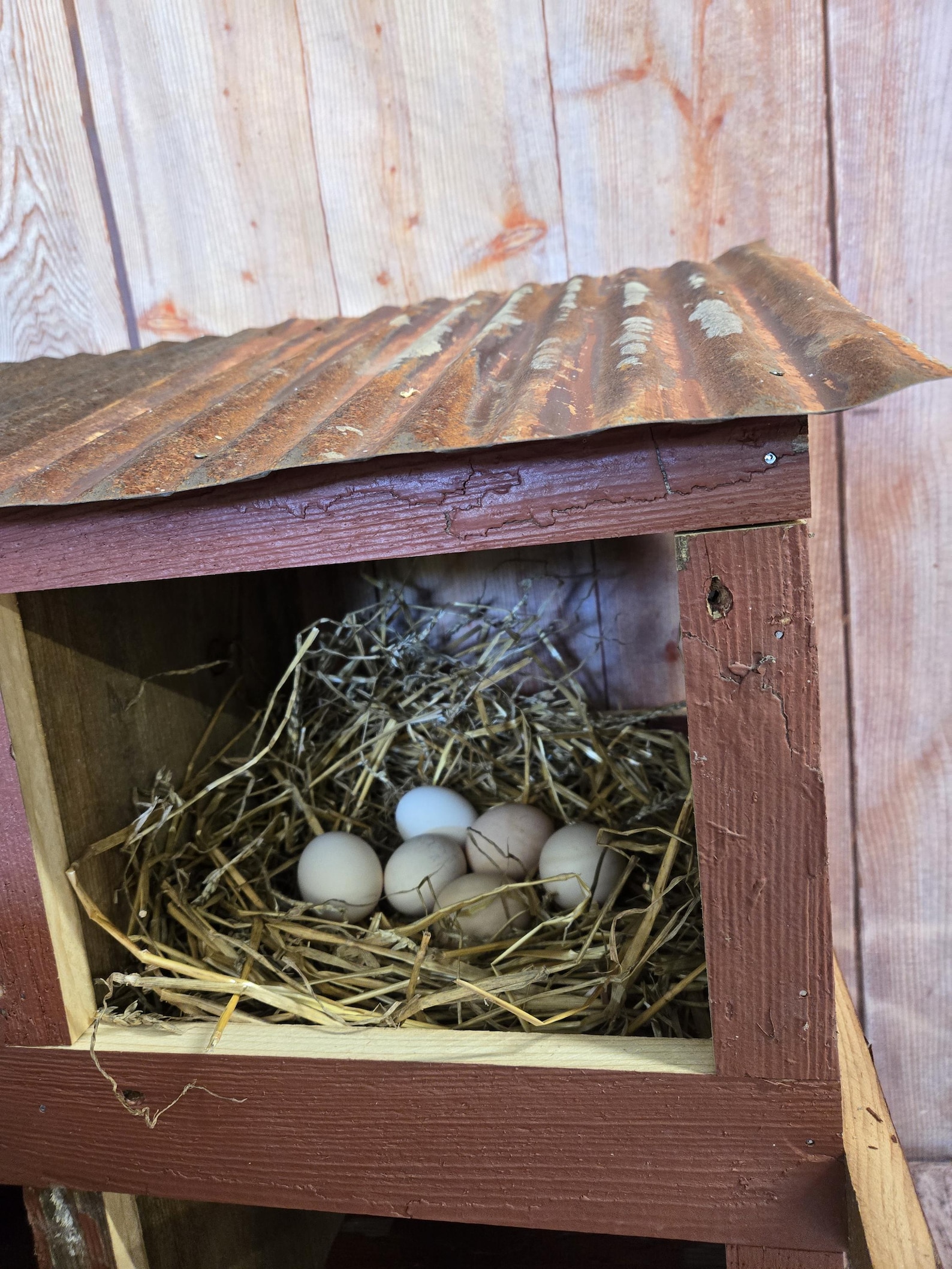 Large Functional Chicken Nesting Box Wall or Floor Mount Cabinet Made ...