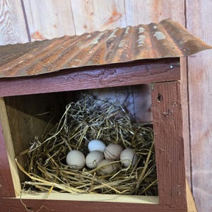 Large Functional Chicken Nesting Box Wall or Floor Mount Cabinet Made ...