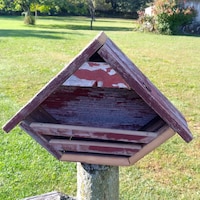 Mourning Dove - Etsy