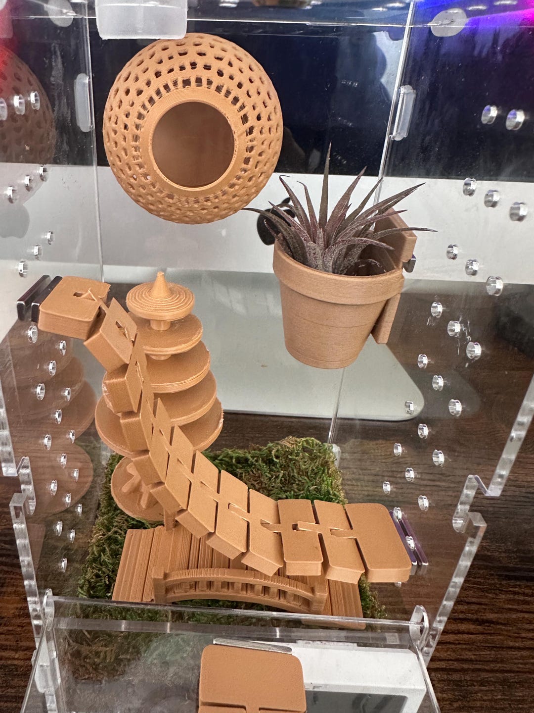 Flexi Bridge Decor | Enclosure Decor | Jumping Spiders /preying Mantis ...