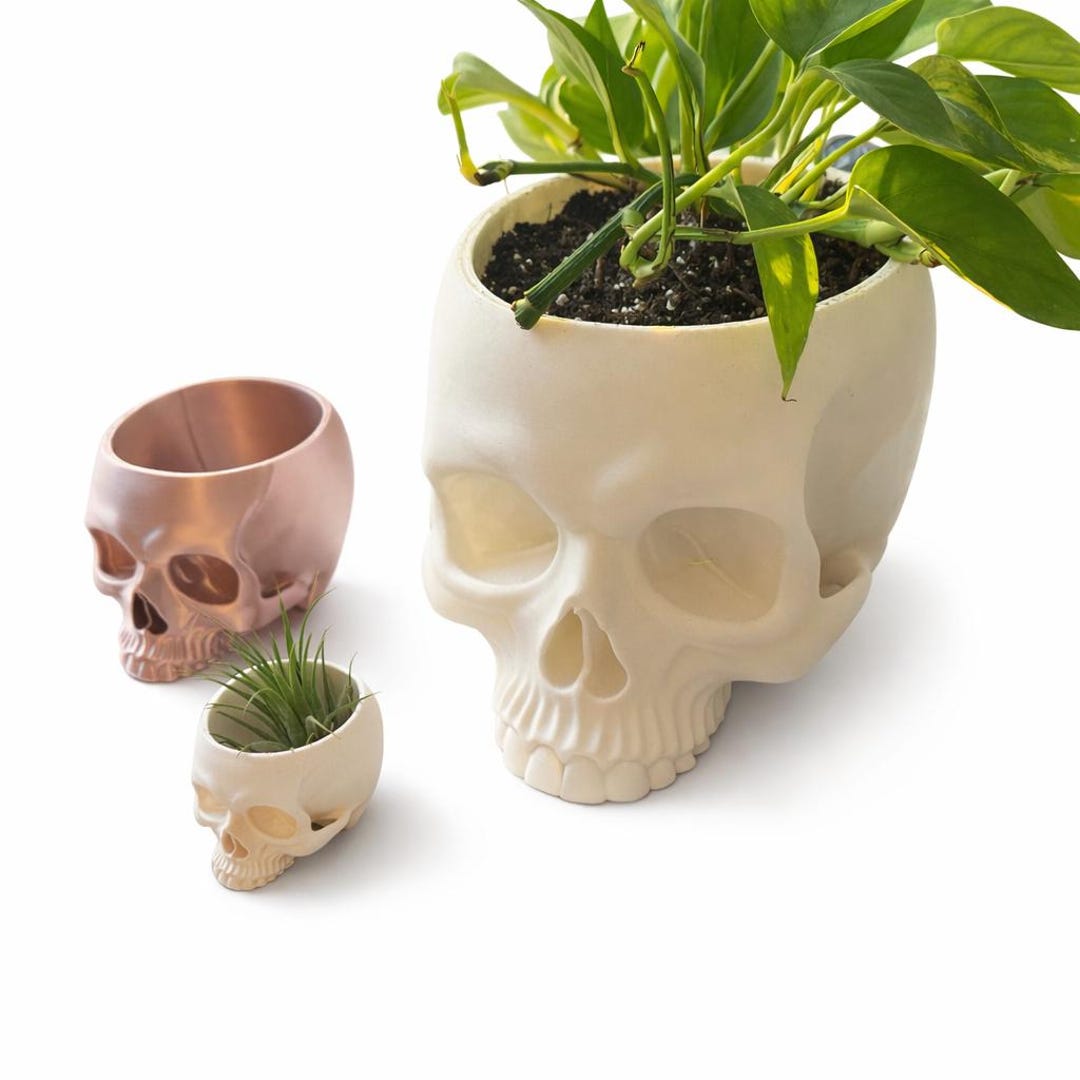 Skull Planter – 3D Printed - Inspired Decor - Etsy