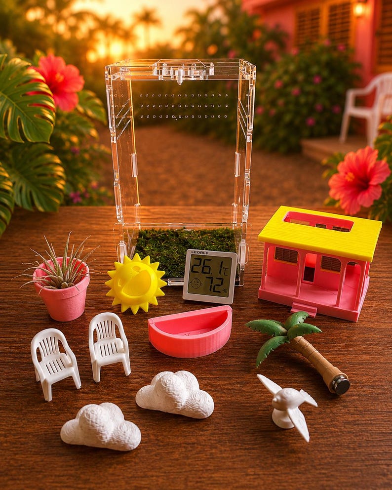 Caribbean Casita Theme | JUMPING SPIDER - Etsy UK
