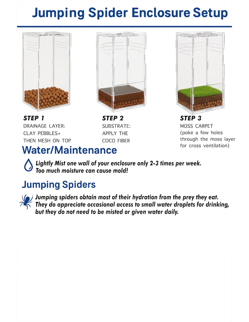 SEMI BIO-ACTIVE Starter Bundle | Jumping Spiders & Other Tiny Pets| Low ...