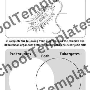 Digital Cell Labeling Sheet- Eukaryotic and Prokaryotic Cell Multiple ...