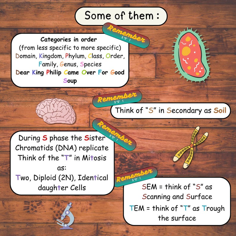 Biology Study Notes: Printable A4 Science Guide (digital Download) - Etsy