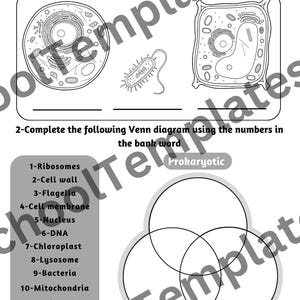 Digital Cell Labeling Sheet- Eukaryotic and Prokaryotic Cell Multiple ...