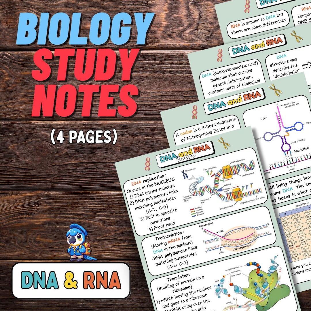 DNA & RNA Biology Notes | Digital and Printable Study Guide | 8.5 X 11 ...