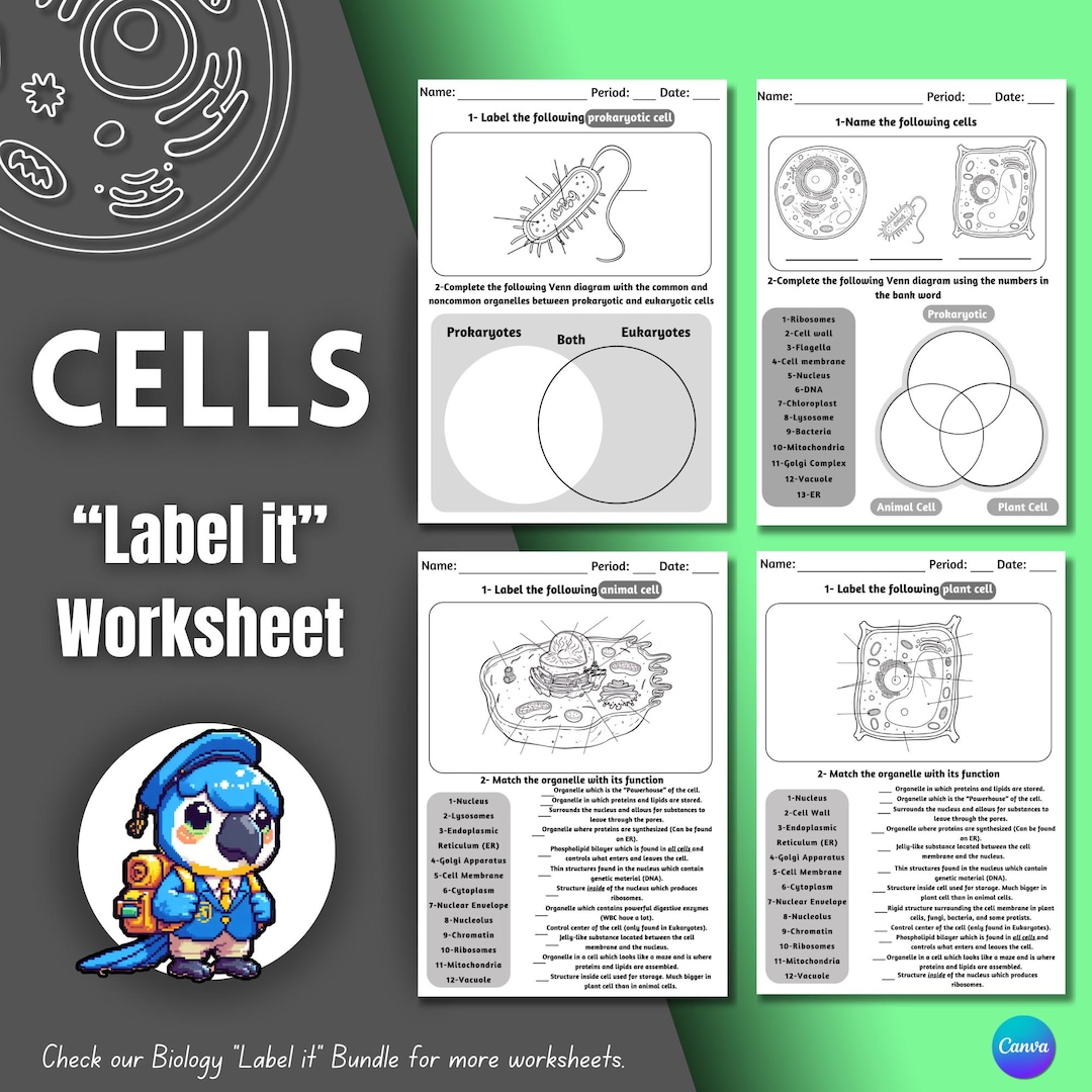 Digital Cell Labeling Sheet- Eukaryotic and Prokaryotic Cell Multiple ...