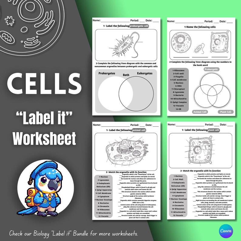 Digital Cell Labeling Sheet- Eukaryotic and Prokaryotic Cell Multiple ...
