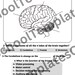 Digital Human Brain Labeling Sheet - Printable A4 Biology Worksheet ...