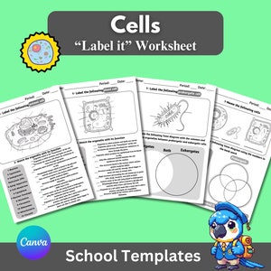 Digital Plant and Animal Cell Labeling Sheet Eukaryotic and Prokaryotic ...