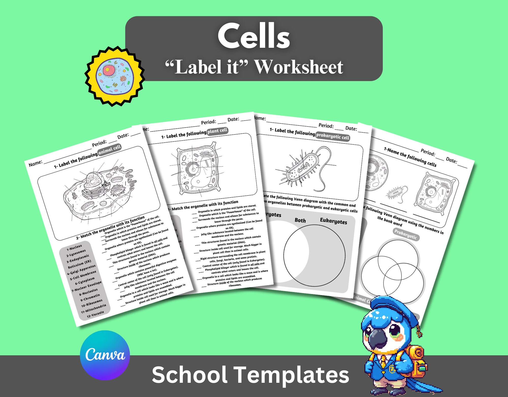 Digital Plant and Animal Cell Labeling Sheet Eukaryotic and Prokaryotic ...