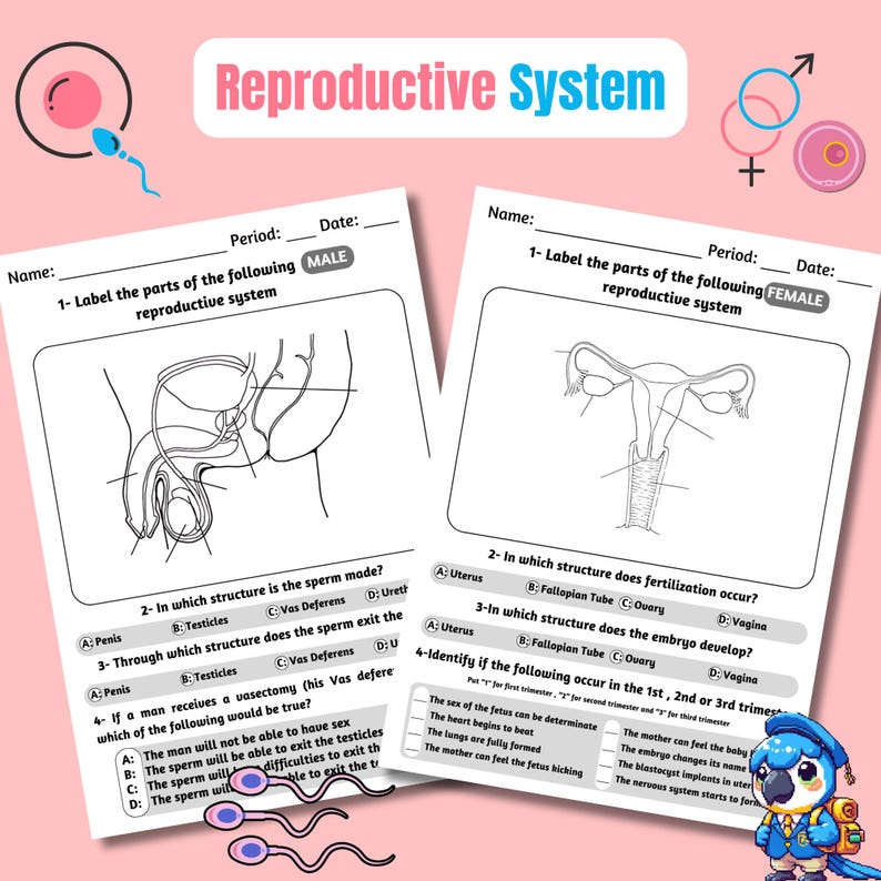 Biology Labeling Sheets Bundle: 16 Science Worksheets (digital Download ...