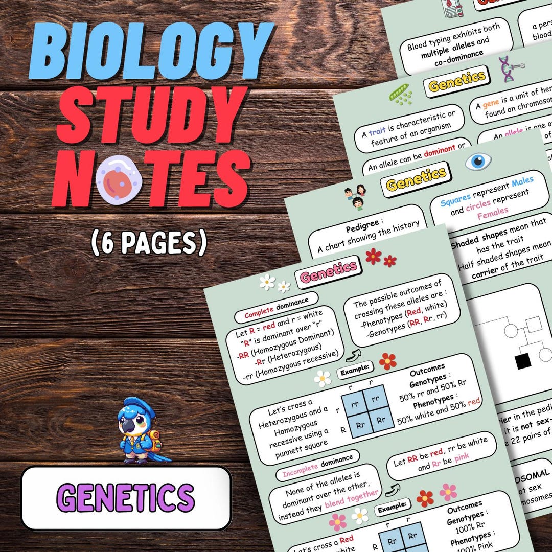 Genetics Biology Study Guide: Punnett Squares, Genotypes (digital ...