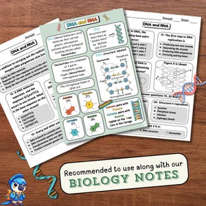 Biology Worksheets: A4 Printable Multiple Choice Questions (PDF ...
