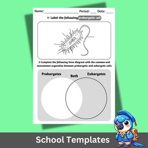 Digital Plant and Animal Cell Labeling Sheet Eukaryotic and Prokaryotic ...