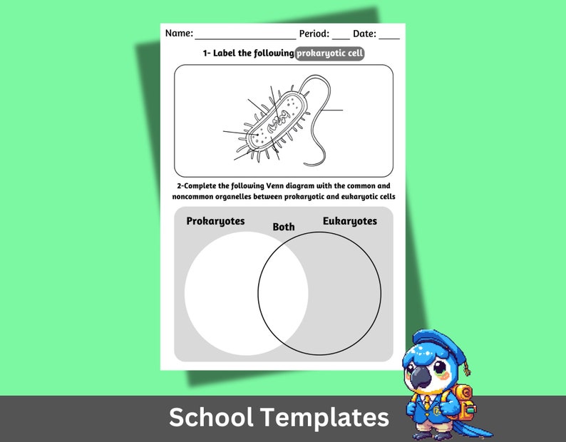 Digital Plant and Animal Cell Labeling Sheet Eukaryotic and Prokaryotic ...