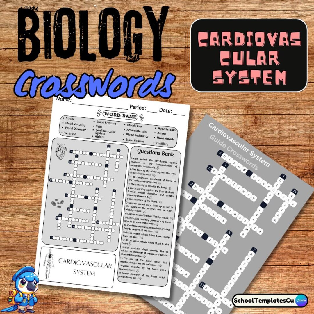 Cardiovascular System Crossword: Biology Worksheet With Answer Key (PDF ...