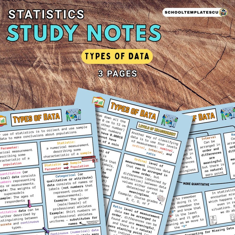 Types of Data Notes | Printable Statistics Notes | A4 Format - Etsy