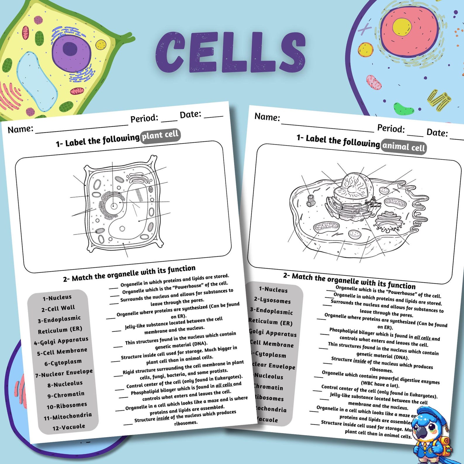 Biology Bundle Labeling Sheet - Science Educational Test Preparation ...
