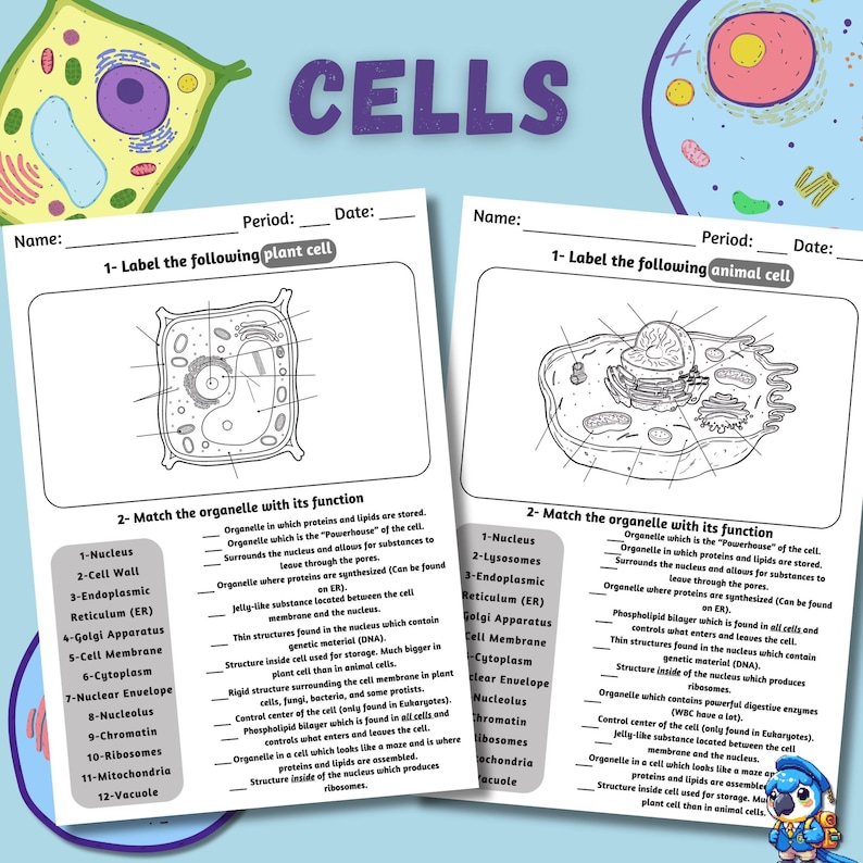 Biology Labeling Sheets Bundle: 16 Science Worksheets (digital Download ...