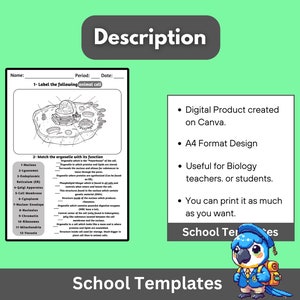 Digital Plant and Animal Cell Labeling Sheet Eukaryotic and Prokaryotic ...