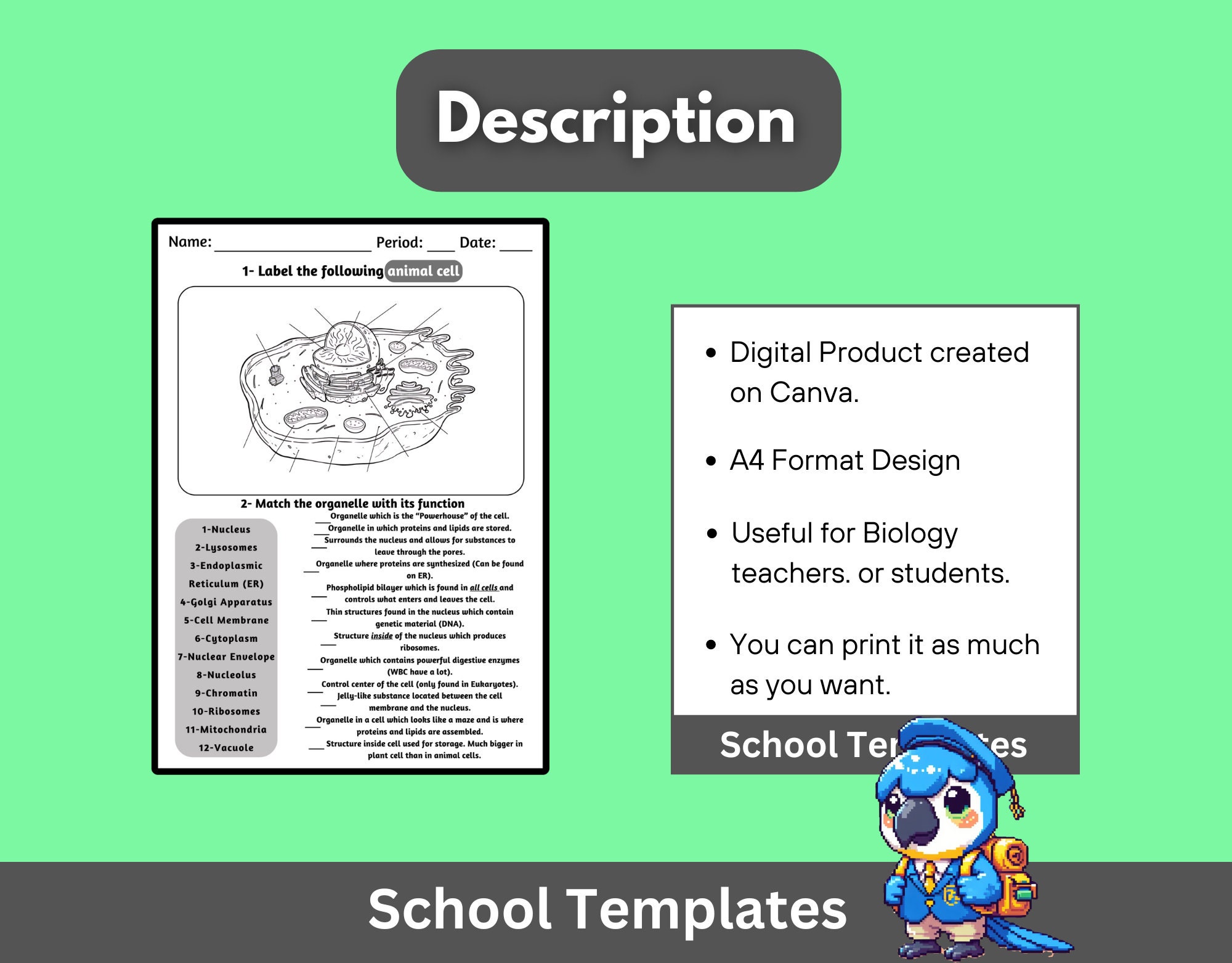 Digital Plant and Animal Cell Labeling Sheet Eukaryotic and Prokaryotic ...