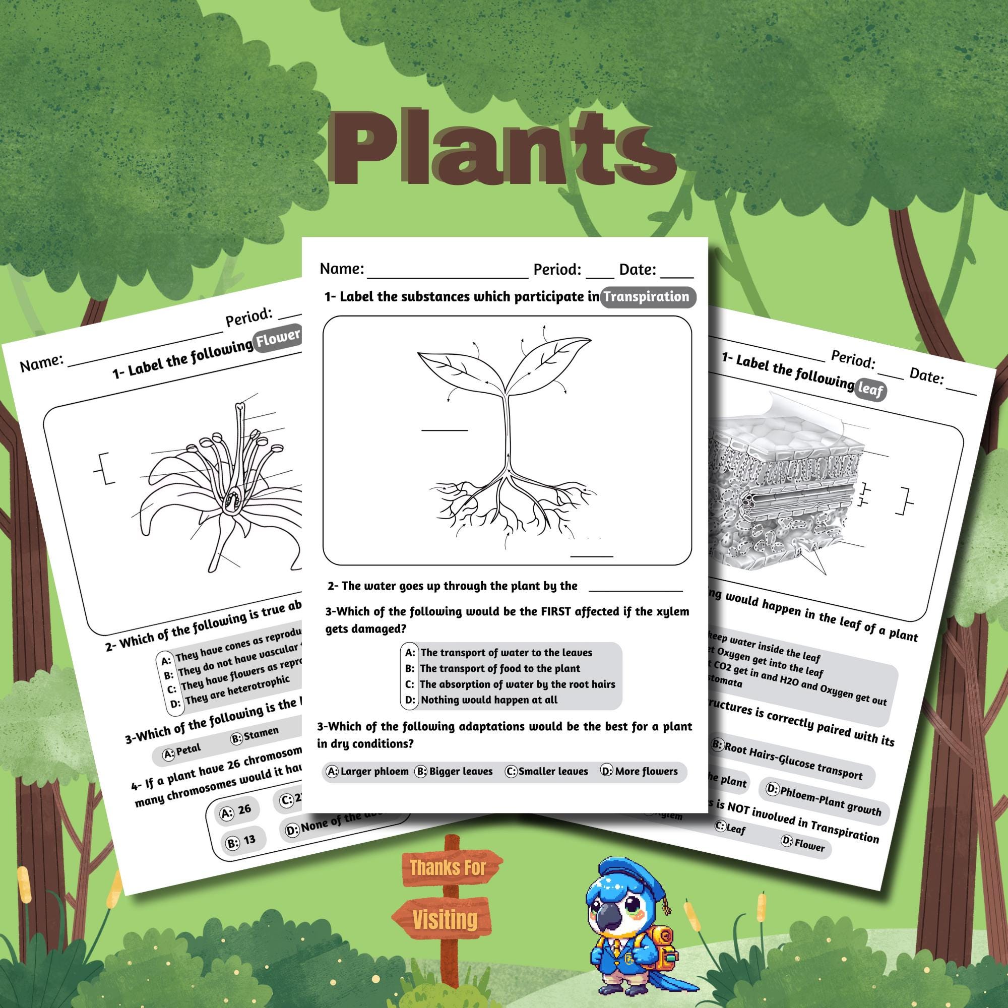 Biology Bundle Labeling Sheet - Science Educational Test Preparation ...