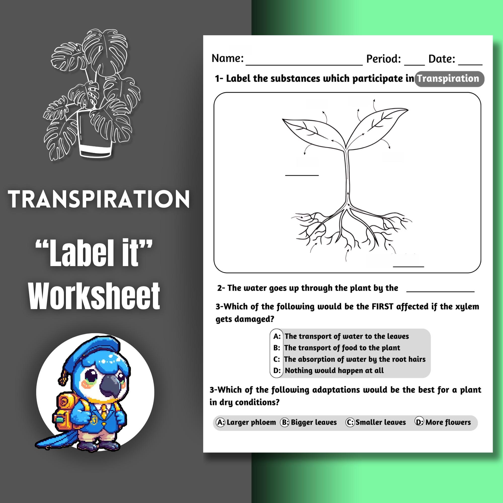 Digital Plants Labeling Sheet - Educational Multiple Choice Questions ...