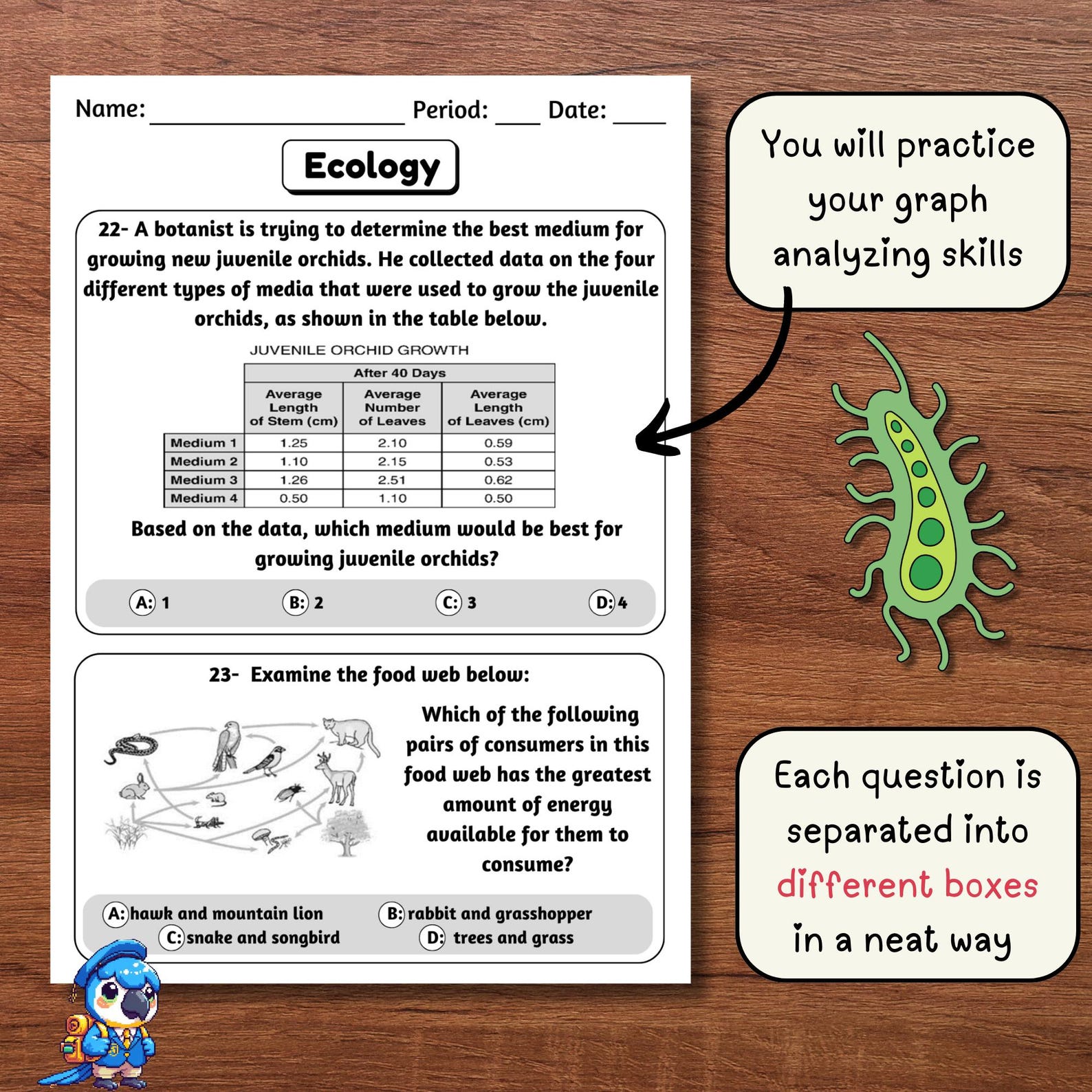 Biology Worksheets: A4 Printable Multiple Choice Questions (PDF ...