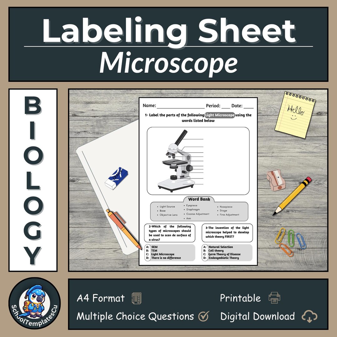 Light Microscope Labeling Worksheet: Printable Biology Assignment (A4 ...