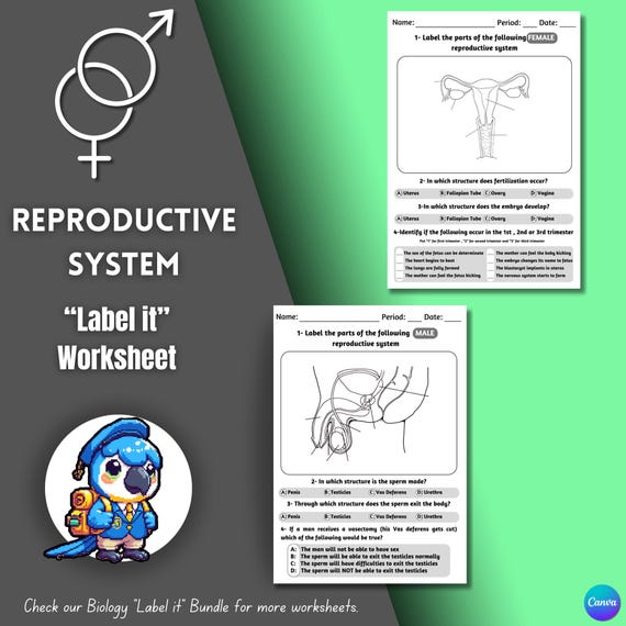 Reproductive Labeling Worksheet