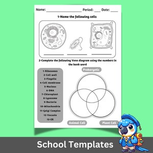 Digital Plant and Animal Cell Labeling Sheet Eukaryotic and Prokaryotic ...