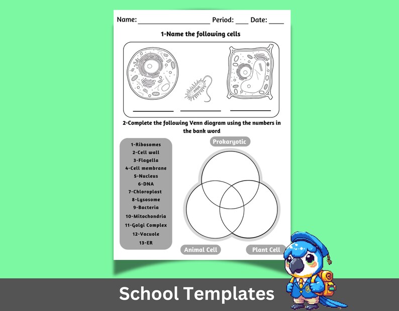 Digital Plant and Animal Cell Labeling Sheet Eukaryotic and Prokaryotic ...
