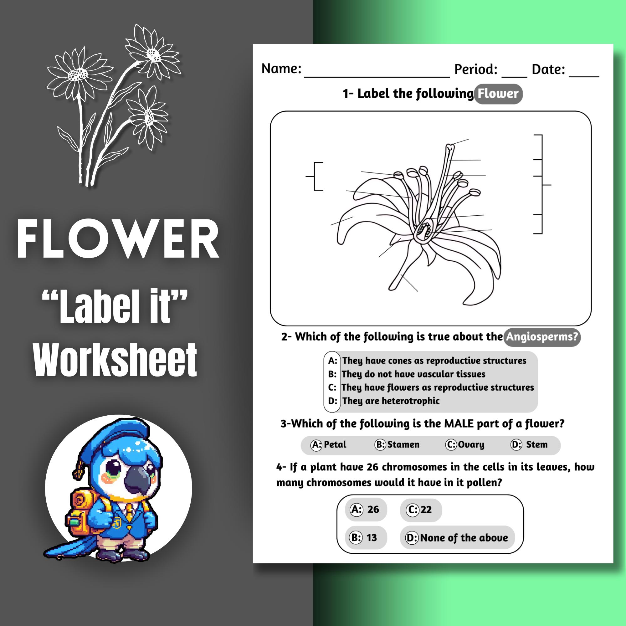 Digital Plants Labeling Sheet - Educational Multiple Choice Questions ...