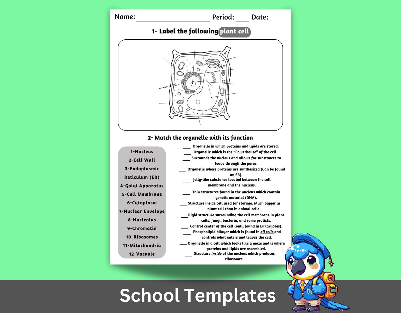 Digital Plant and Animal Cell Labeling Sheet Eukaryotic and Prokaryotic ...