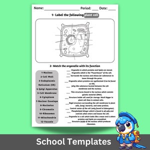 Digital Plant and Animal Cell Labeling Sheet Eukaryotic and Prokaryotic ...