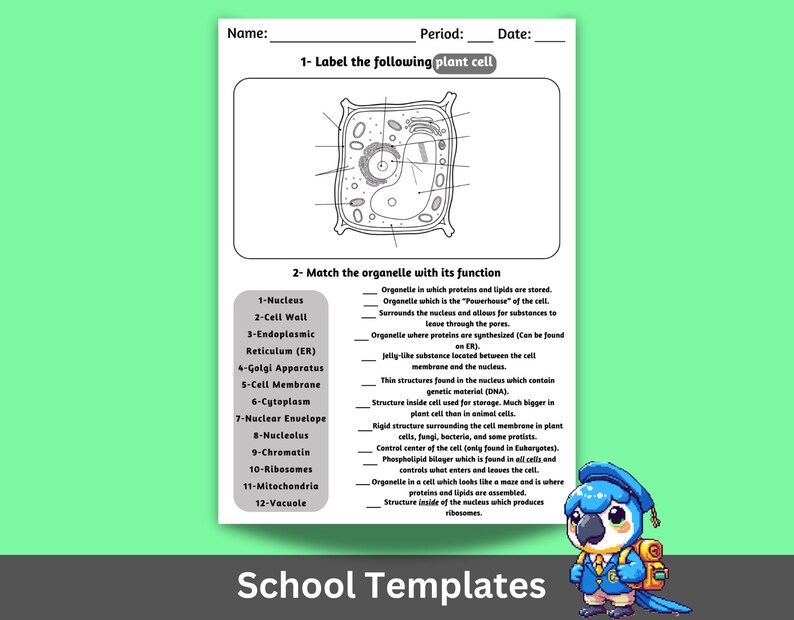 Digital Plant and Animal Cell Labeling Sheet Eukaryotic and Prokaryotic ...