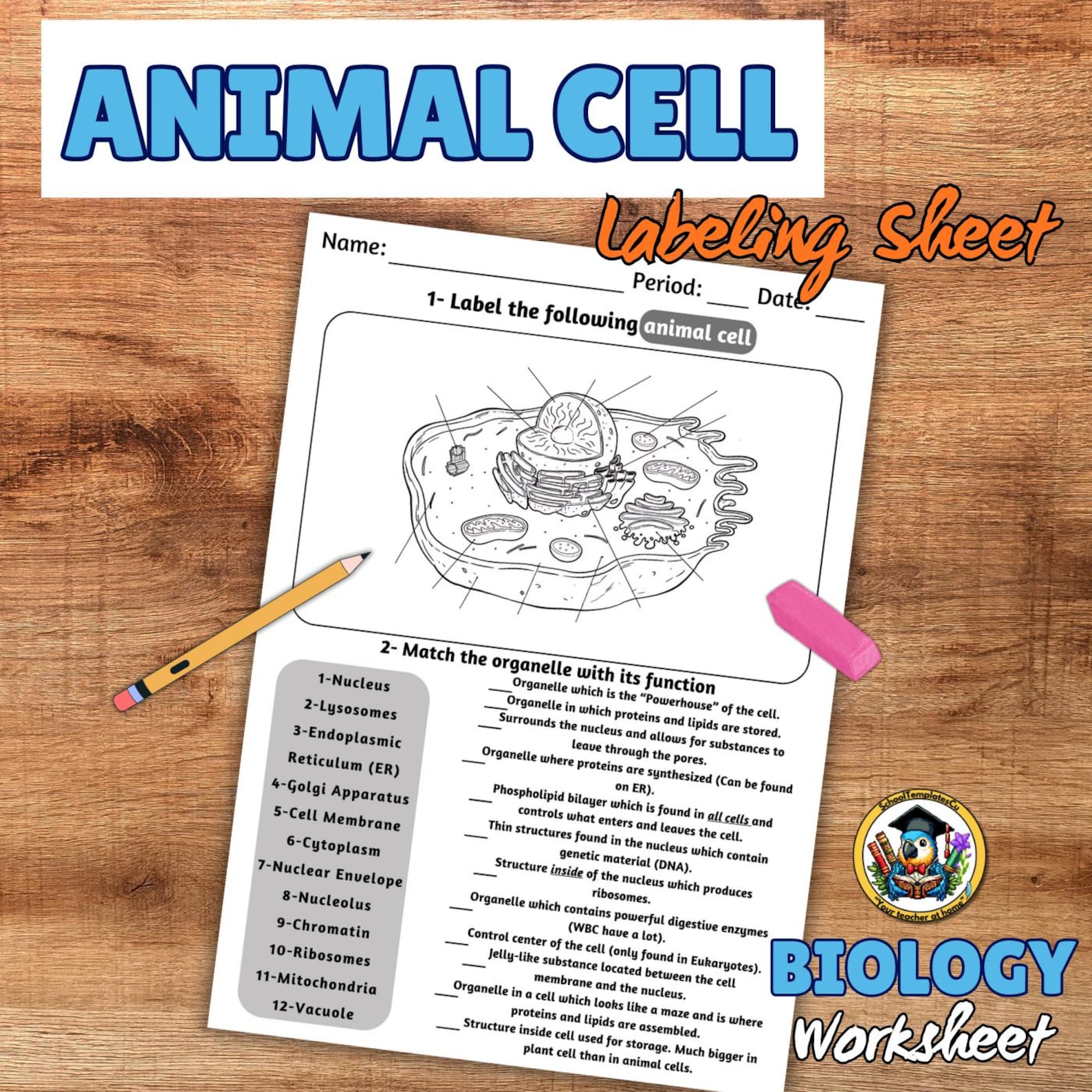 Digital Animal Cell Labeling Sheet | Identify the Organelles and Match ...