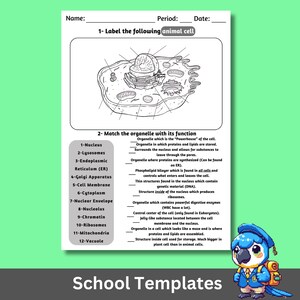 Digital Plant and Animal Cell Labeling Sheet Eukaryotic and Prokaryotic ...
