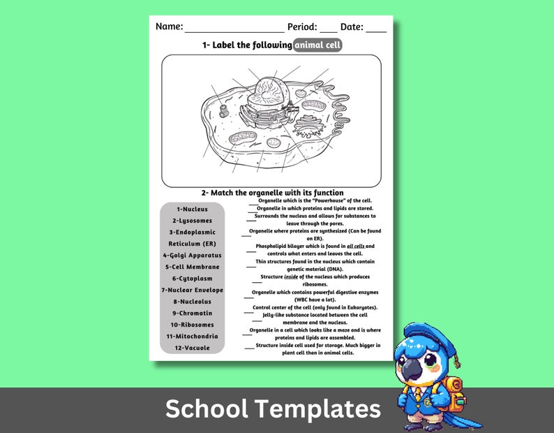 Digital Plant and Animal Cell Labeling Sheet Eukaryotic and Prokaryotic ...